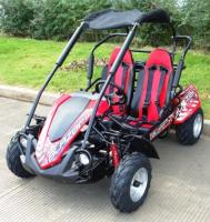 China Forest Road 4 Stroke 200cc 2500rpm Mid Size Go Kart for sale