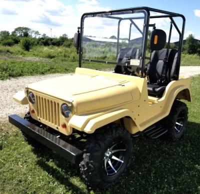 China 4 Wheel Hydraulic Disc Brakes 8.7 HP 200cc Go Kart Buggy for sale