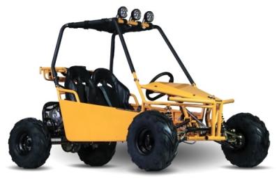 China Single Cylinder Air Cooled 35MPH 125cc Go Kart Buggy for sale