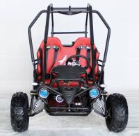 China 4 Stroke Riverbed Loading 200kg 125cc Go Kart Buggy for sale