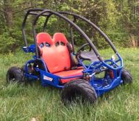China Off Road 182lbs Kids Big Horn 70cc PDI Go Kart Buggy for sale