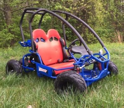 China Off Road 182lbs Kids Big Horn 70cc PDI Go Kart Buggy for sale