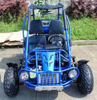 China 2.25 Gal 17.4 HP CDI Ignition 300cc CVT EFI Go Kart Buggy for sale
