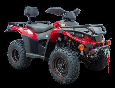 China TCI 4WD Four Stroke Quad 300cc Utility Vehicles ATV for sale