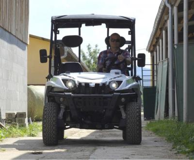 China EPA 9.7kw 60v Gas Utility Vehicles With 1805mm Wheelbase for sale