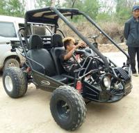 China 250cc Water Cooled Go Kart Buggy Cdi Ignition Rear Wheel Drive for sale