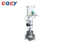 China Sleeve Guided Single Seat Control Valve  Control A Variety High Temperature, High Temperature High Pressure Fluid) for sale