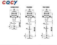 China RS Series Resistance Level Meter Resistance Position Switch Level Switch for sale