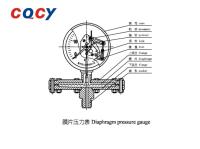 China ExdIIBT4 YTH-100 Pressure Instrument for sale