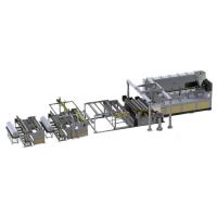 China Plastic EVA Cast Film Extrusion Line 2200mm For Automobile Safety Glass for sale