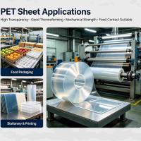China GWELL Twin Screw PET Sheet Extrusion Line No Crystallization Drying APET RPET PETG Thermoforming Sheet Making Machine for Food Blister Packaging for sale