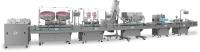 China High-Speed 380V Automatic Bottle Filling Production Line with 1 Year Warranty and 1000PCS/Year Capacity for sale
