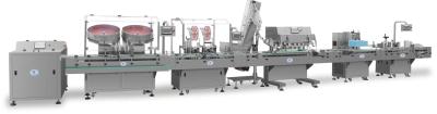 China High-Speed 380V Automatic Bottle Filling Production Line with 1 Year Warranty and 1000PCS/Year Capacity for sale
