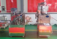 China ZP15B ZP17B Chicken Cube Block 42mm Punch Rotary Tablet Press Machine for sale