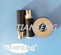 China Tdp 5 Tdp 0 TDP6 TDP6s Punch Dies molds for sale
