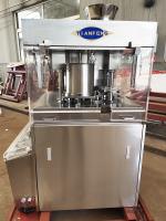 China Powerful Worm Gear Drive  Pharmaceutical Press Pill Machine For Salt Cube for sale