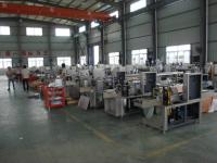 China 220V 2kw Laundry Detergent Tablet Packing Machine for sale