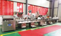 China GMP  Round Bottle Medicine Packaging Tablet Bottle Filling Machine 8 Channel for sale