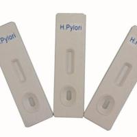 China Wholesale H-Pyhori Antibody Rapid Test Cassette treatment antigen test home use CIA ISO approved for sale