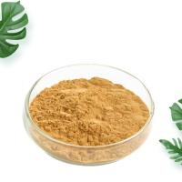China China 99% Stone pine spore Lycoris powder Radiata Extract Galanthamine Hydrobromide cheap for sale