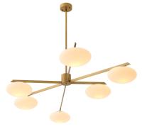 China Beautiful Contemporary Modern Decorative Lighting Customized Contemporary Clear Chandelier for sale