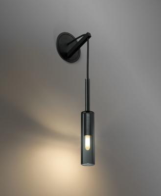 China Modern LED Pendant Wall Sconce with Adjustable Height Dimmable Lighting and Oval Shade for Indoor Use for sale