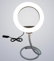 China 8 Inches White LED Light Gooseneck 112cm For Youtube Video Ring Light for sale