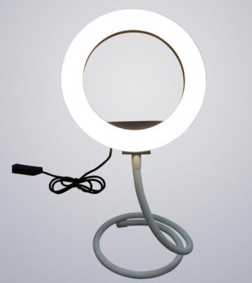 China 8 Inches White LED Light Gooseneck 112cm For Youtube Video Ring Light for sale