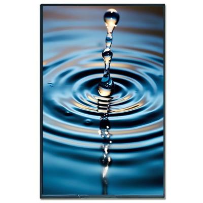 China 10.1 Inch MIPI TFT Display 800x1280 IPS High Brightness 300cd/m2 LCD Module for sale