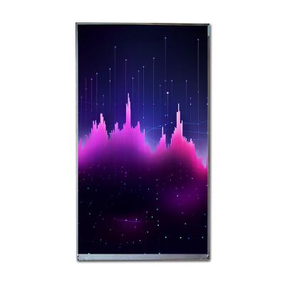 China IVO 10.1 Inch IPS LCD Display 800x1280 350 Nits 1000:1 Contrast MIPI Interface for sale