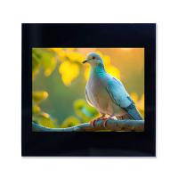 China 3.45 Inch Capacitive Touch Panel 800x480 Industrial Display 500 nits High Brightness for sale