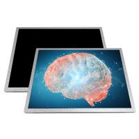 China BOE DV150X0M-N16 15.0 Inch 1024x768 600nit High Brightness LCD Display Panel for sale