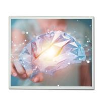 China BOE DV170E0M-N10 17 Inch IPS LCD Panel 1280x1024 250nit SXGA Display for sale