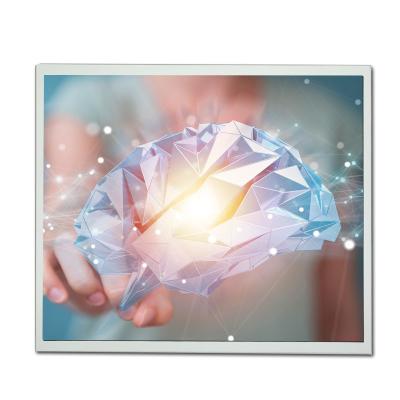 China BOE DV170E0M-N10 17 Inch IPS LCD Panel 1280x1024 250nit SXGA Display for sale