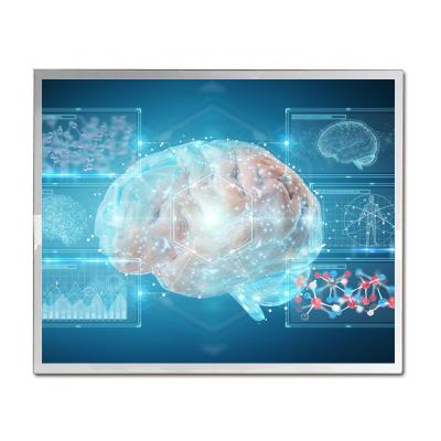 China BOE DV190E0M-N11 19 Inch IPS LCD Screen 1280x1024 250 Nits TFT Display for sale