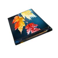 China 1.9 Inch 1024x600 High Brightness LCD Display 600nits TFT Module for Ebike for sale
