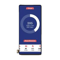 China 6.67 Inch Flexible Amoled Display MIPI Interface IPS Amoled 1080*2400 Pixels for sale