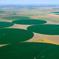 China 356 Meters Equipment Farmland Machinery Equipment Center Pivot Irrigation System Automatic Power-driven Center for sale