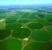 China 2024 New Products  Tower Box for Farmland Pasture Irrigators 20ha Center Pivot Irrigation System for sale