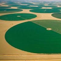 China 20245 New Products 20ha Center Pivot Irrigation System Tower Box for Farmland Pasture Irrigators for sale