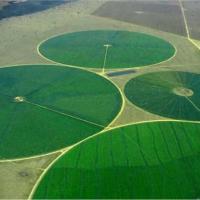 China 20245 New Products 20ha Center Pivot Irrigation System Tower Box for Farmland Pasture Irrigators for sale
