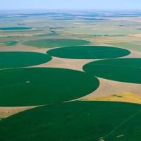 China New 90 ha Farm Pasture Irrigation System Water Saving Center Pivot Irrigators with Core Metal Motor & Gearbox for Large Farmland for sale