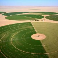 China Large Farm Energy-saving Irrigation Machine DYP-399 for Round-shaped Plots for sale