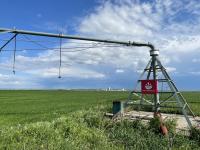 China 2025 Newly 100ha /50ha ZIMMATIC STYLE Center Pivot Irrigation System for African Irrigation Systems for sale