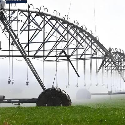 China Valley Style Center Pivot Farm Irrigation System of 40ha for sale