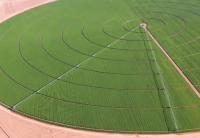 China Valley Style Center Pivot Farm Irrigation System of 40ha for sale