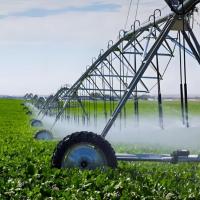 China Best Selling DYP-178 Center Pivot Irrigation System New Condition Metal Material with Core Motor and Gearbox Components for sale