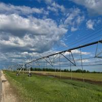 China Low-Cost Center Pivot Farm Irrigation System for Sale of 20ha for sale