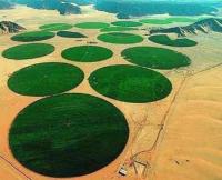 China China DYP-399 Metal Center Pivot Irrigation System Water Saving Irrigators for Potato Farms with Motor Gearbox Core Components for sale