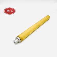 China S/B/R TYPE Molten Steel Thermocouple Cartridges for steel and foundry use for sale